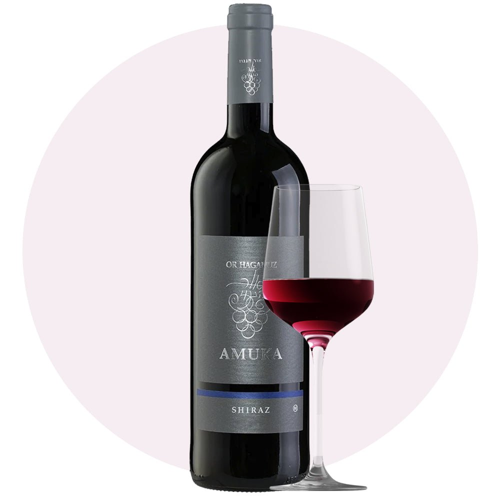 Shop Kosher Shiraz Wines Online – KosherWineWorld.com