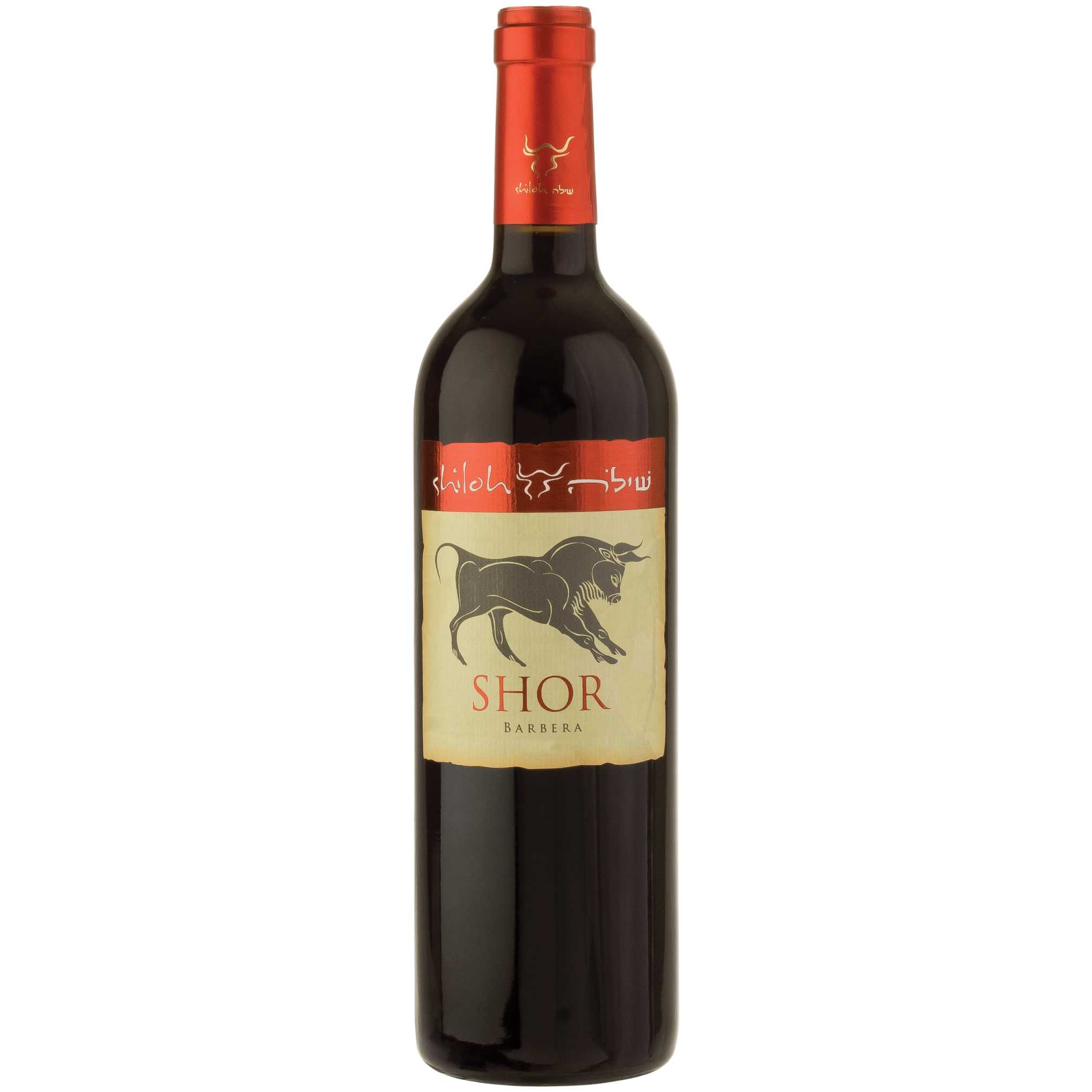Shiloh Shor Barbera 2020 - Kosher Wine World – KosherWineWorld.com